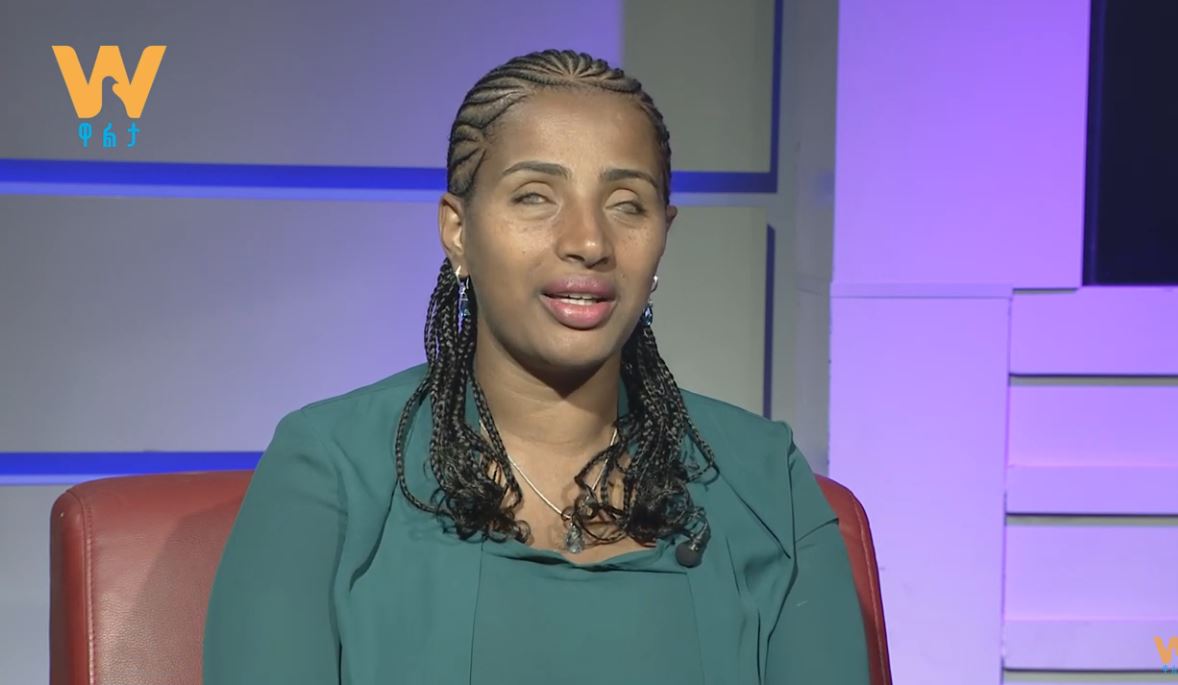 Walta TV interview with Yetnebersh Nigussie