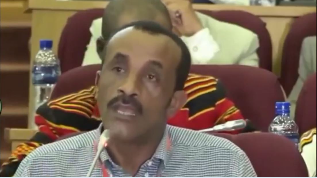 TPLF Leader Calls on Federal Forces to Rescue Ethiopia